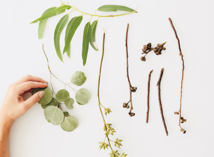 DIY Nature Mobile • CHILD Magazines