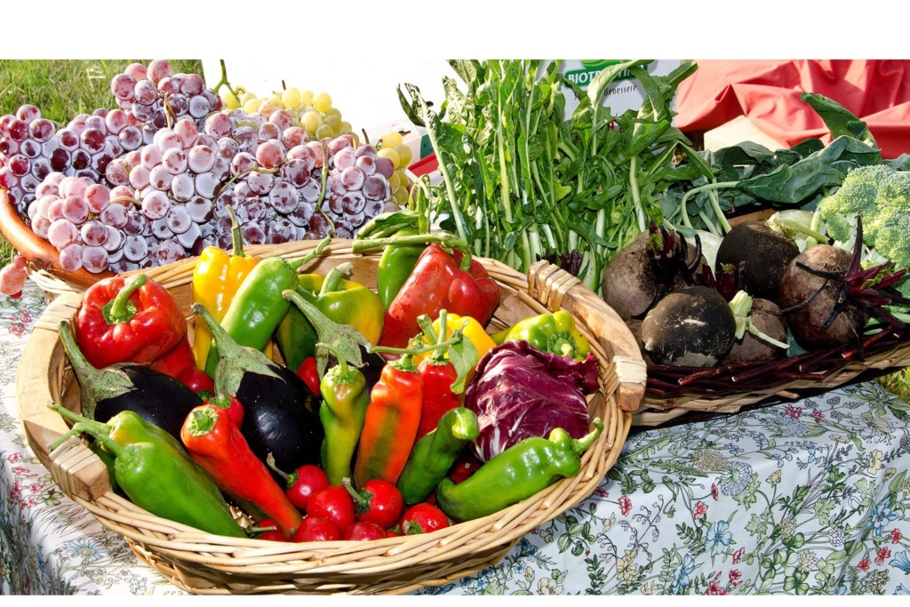 iFarm plants the seeds for trailblazing STEM careers in South ...