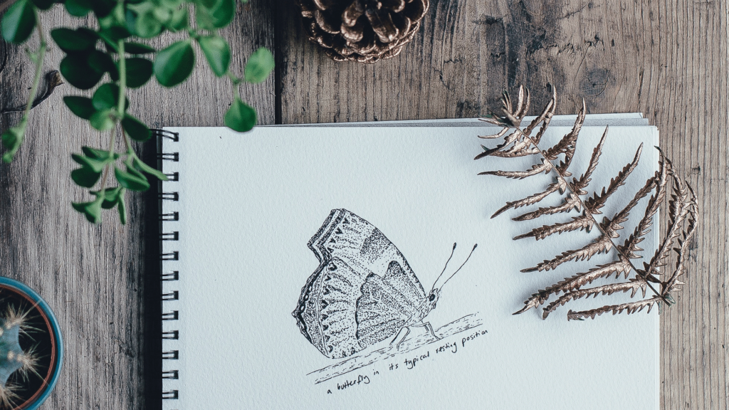 How Kids Can Start and Document a Nature Collection • CHILD Magazines