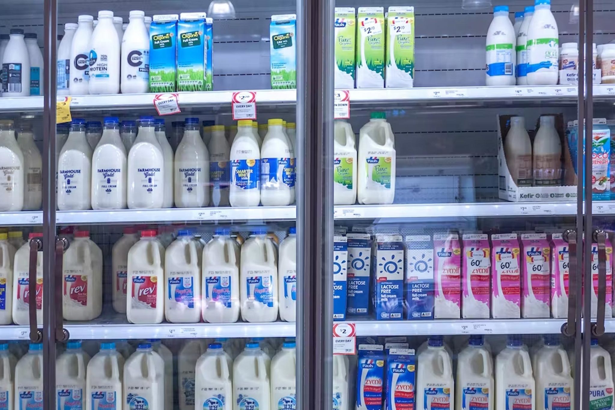 Why ‘synthetic’ dairy milk made without cows may be coming to a ...