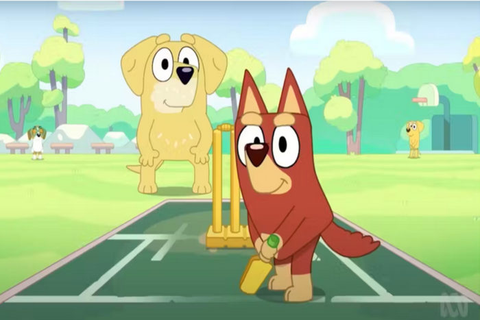 What Bluey can teach us about the spirit of the game of cricket • CHILD ...